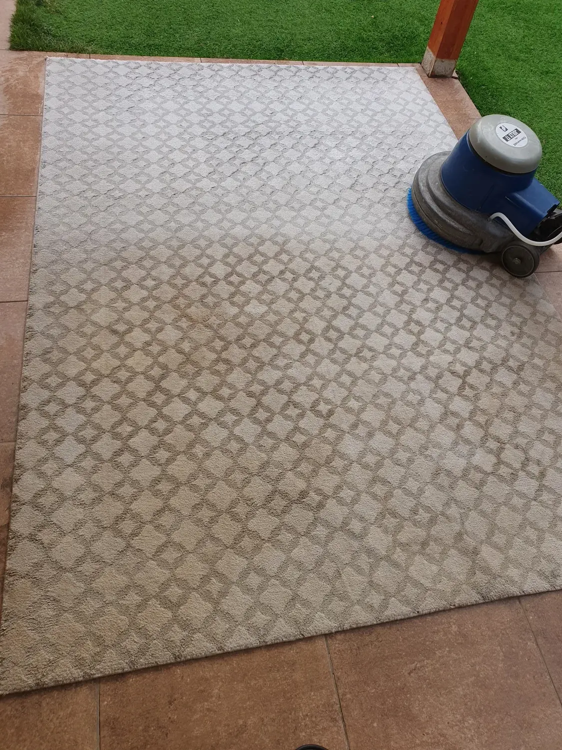 Diferencias entre Limpieza Profunda y Regular